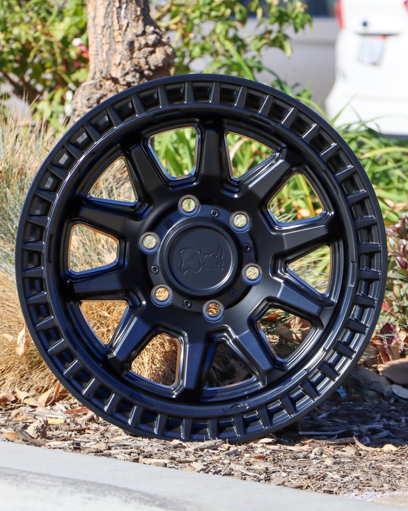 Black Rhino Calico Wheel – Koritas Tires